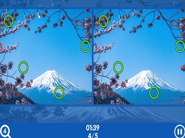 FIND 500 DIFFERENCES joc online | POMU Jocuri